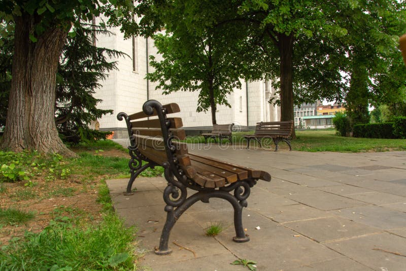 Empty benches in a park. stock photo. Image of backyard - 183835904