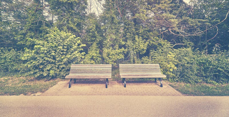 Empty benches in a park. stock image. Image of path, trees - 76992151
