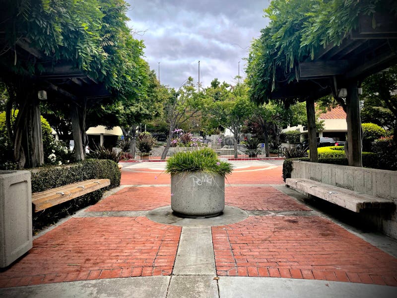 Empty Benches in a Public Plaza with Trees Stock Image - Image of ...