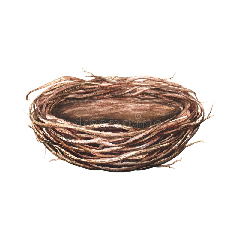 Empty Bird Nest. Spring and Easter Symbol Stock Illustration ...