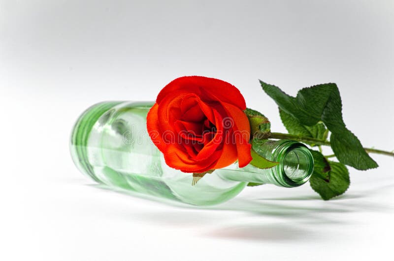 Empty Blanc Wine Bottle Witk Red Rose Stock Photo - Image of dinner ...