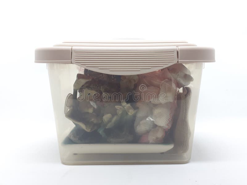 Empty Blank Effective Transparent Vacuum Plastic Container with Various ...