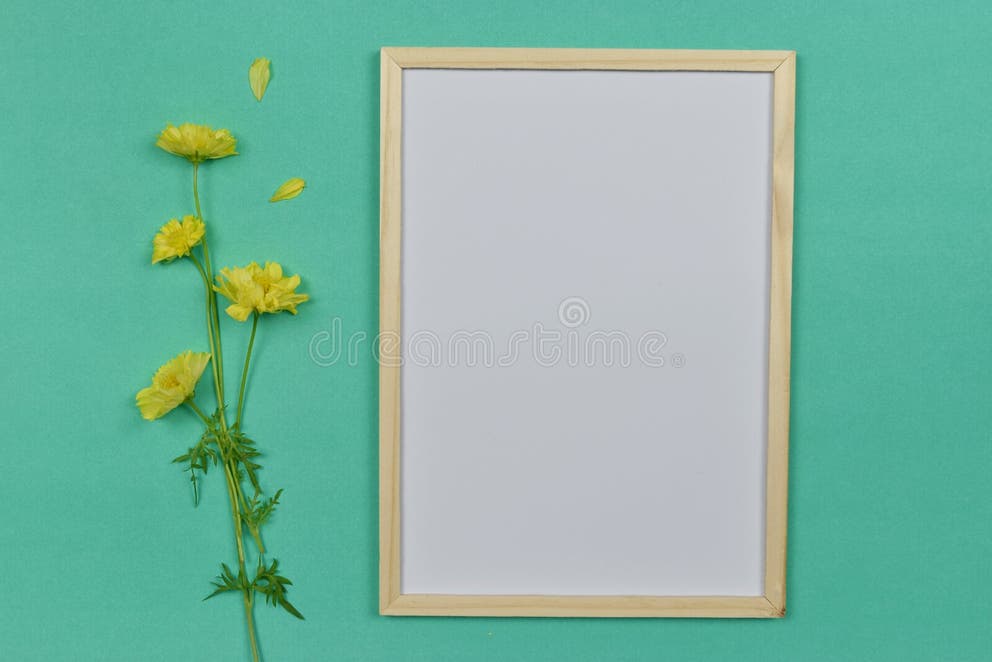 Empty Blank Photo Paper Frame with Yellow Flower Stock Photo - Image of ...