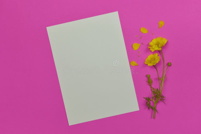 Empty Blank Photo Paper Frame with Yellow Flower Stock Image - Image of ...