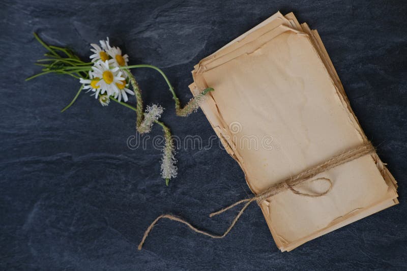 Empty Blank Space, Stack of Old Paper Torn Off Edges for Message ...