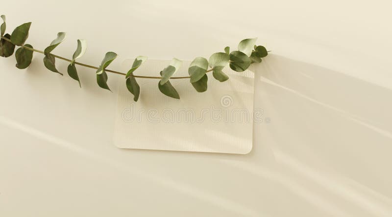 Empty Blank Texture Canvas Paper Card and Eucalyptus Leaf Branch with ...