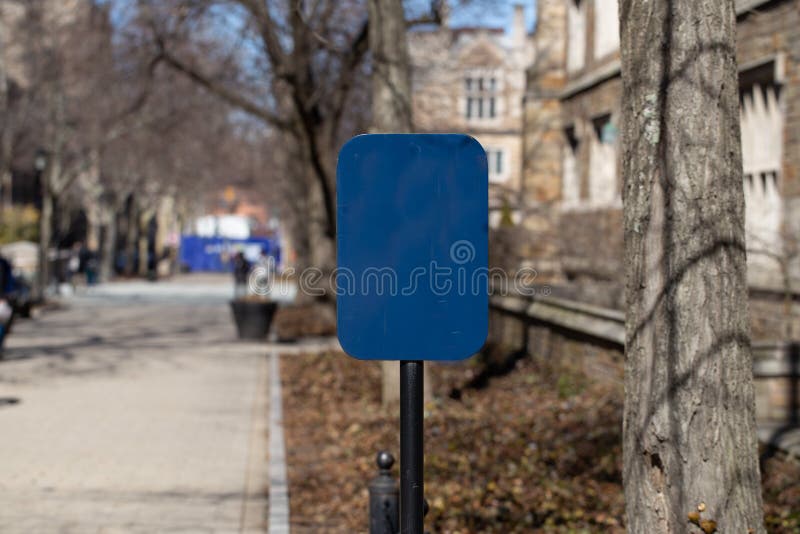 Empty blue sign on pathway stock photo. Image of campus - 142808268