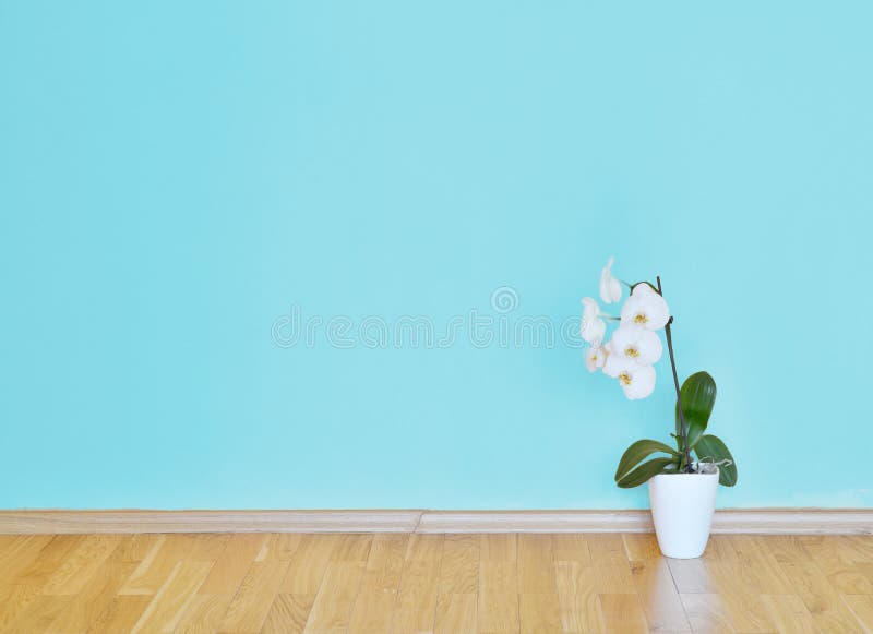 Empty Blue Wall and Wooden Floor Room Stock Image - Image of bright ...