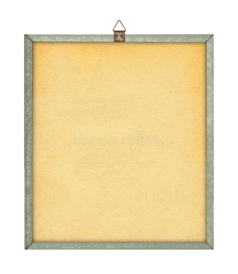 Bird stock photo. Image of food, bringing, nature, frees - 5462446