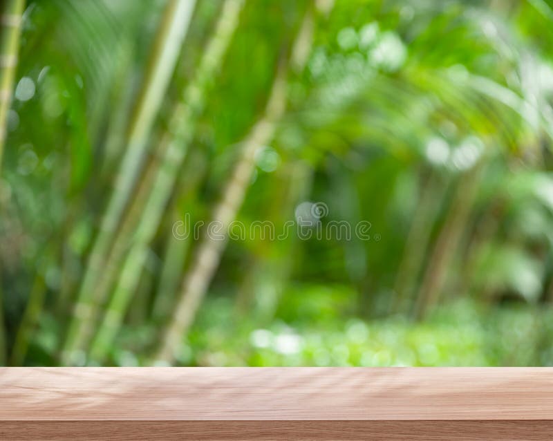 Empty Board or Table Top and Blurred Green Bamboo Culms. Place for Your ...