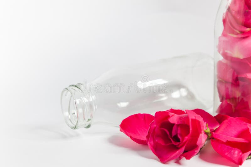 Empty Bottles and Rose Petals Stock Photo - Image of love, pink: 98600724