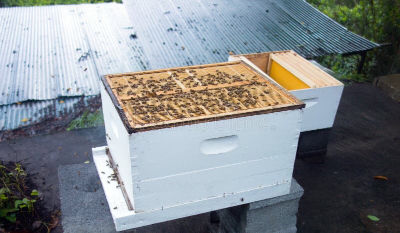 Beehive Spare Parts Stock Photos - Free & Royalty-Free Stock Photos ...