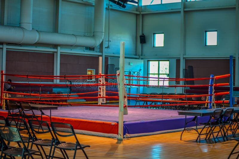 Empty Boxing Ring with Red Ropes for Match Stock Photo - Image of ...