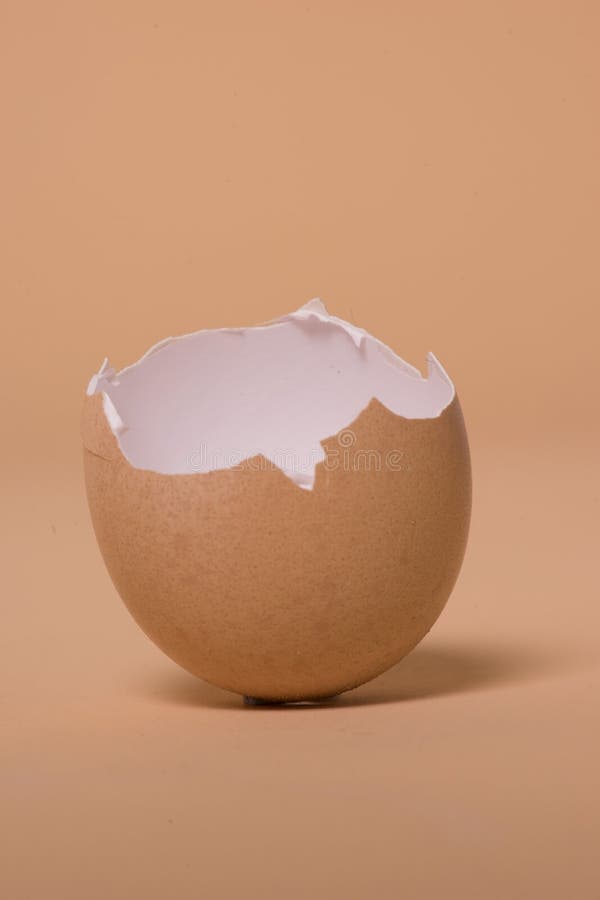 Empty Broken Egg Shell on a White Background Stock Photo - Image of ...