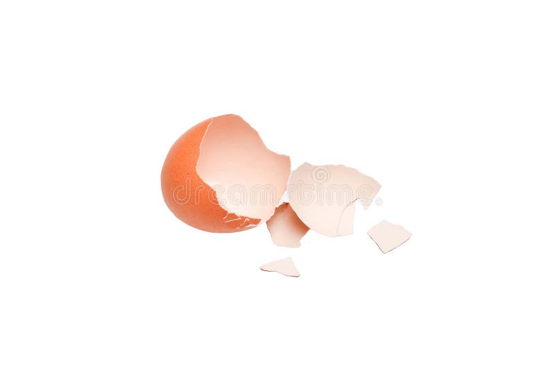 Empty Broken Brown Egg Shell on a Transparent Background. Broken Egg ...