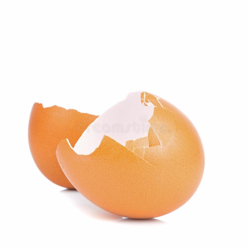 Empty broken egg shell stock photo. Image of clean, background - 14773432