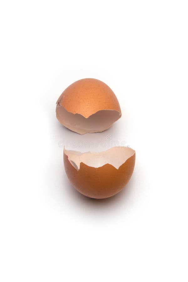 Empty broken eggshell stock photo. Image of lying, background - 170339596