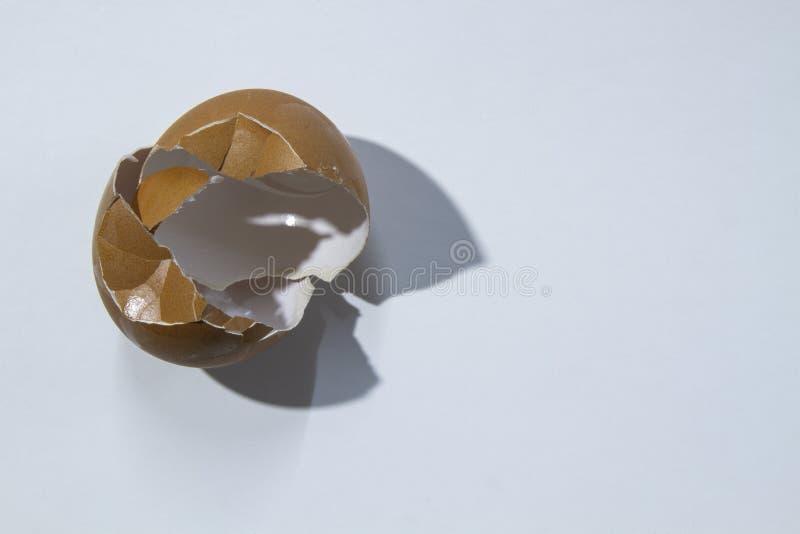 Empty Broken Eggshell on the White Background Picture Stock Image ...