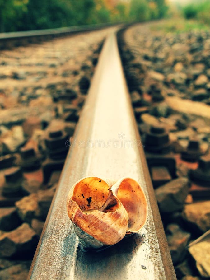 Empty and Broken Snail Shell on Old Rusty Railway Rail Stock Photo ...