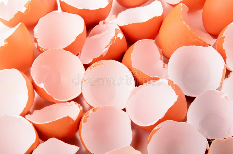 Empty brown egg shells stock photo. Image of open, brown - 65853990