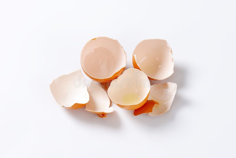 Empty brown eggshells stock photo. Image of white, studio - 62267752