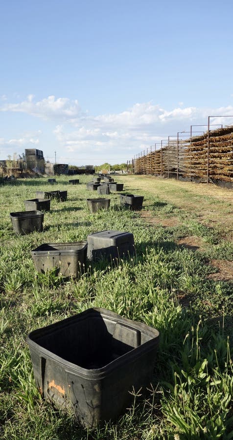 Row of Red Buckets in Rack with Sign for Fire only Stock Image - Image ...