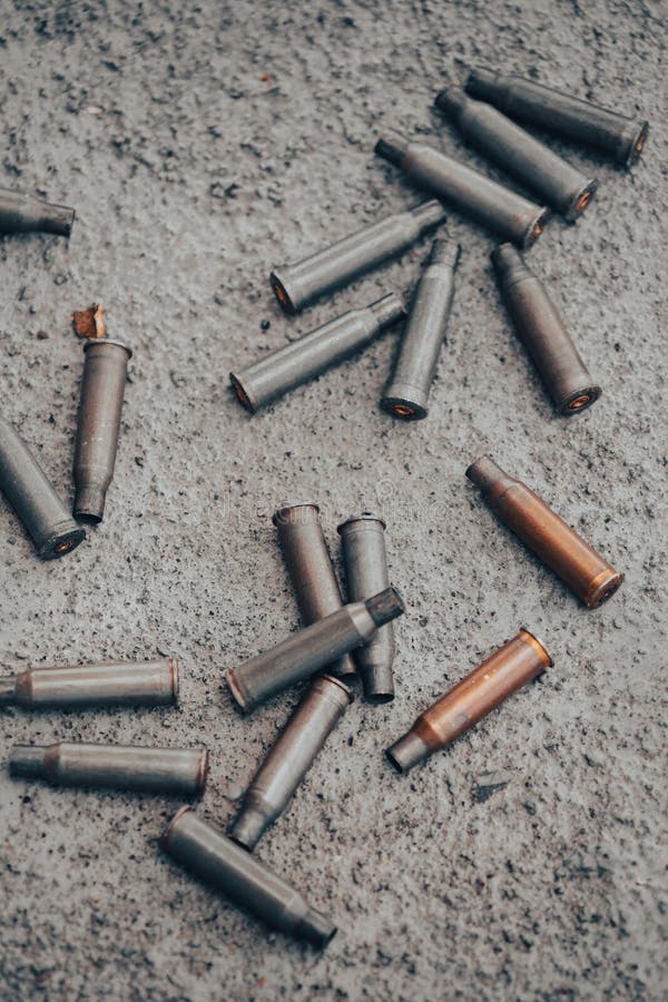 Empty bullet cartridges stock image. Image of brass - 256462759