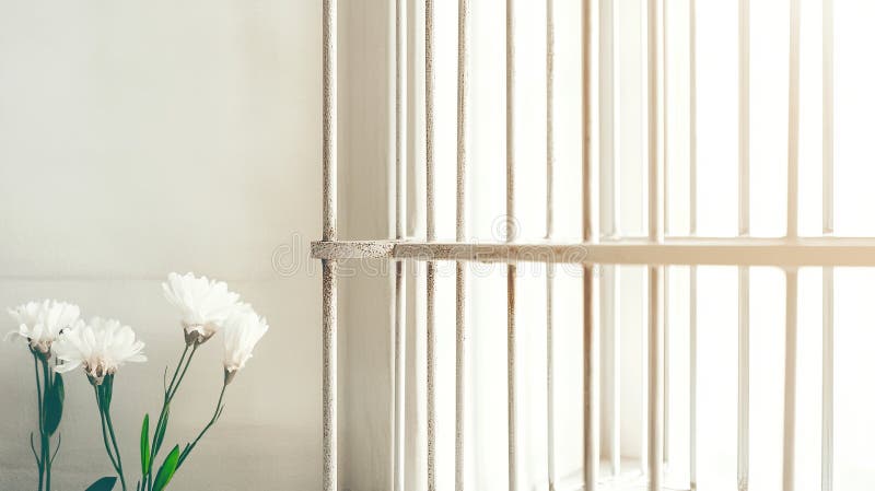 Empty Cage Awaits Freedom with Its Door Slightly Ajar Against a Serene ...