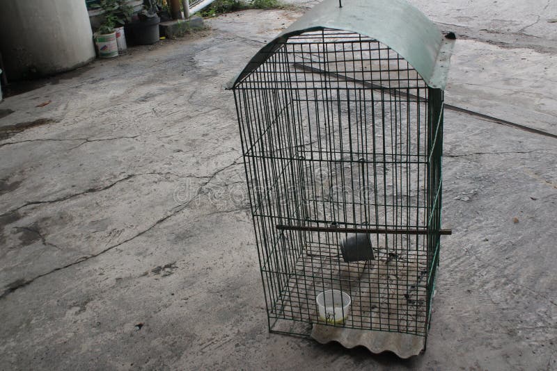 The empty cage stock photo. Image of iron, fence, intentionally - 257517604