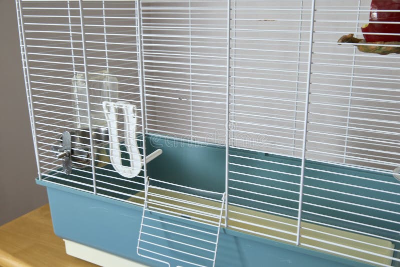 Empty Cage Parrot Close Up Stock Photos - Free & Royalty-Free Stock ...