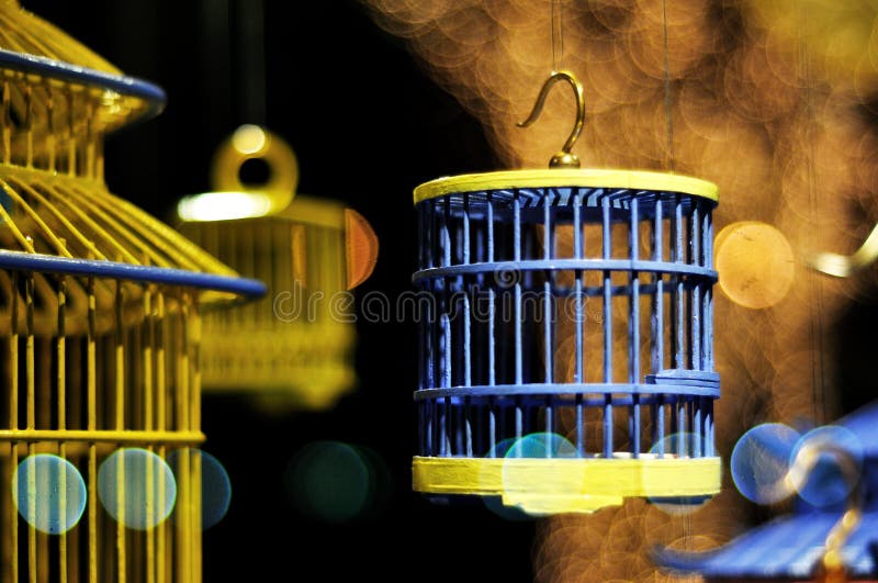 Empty Cages for Laboratory Animals Stock Image - Image of research ...