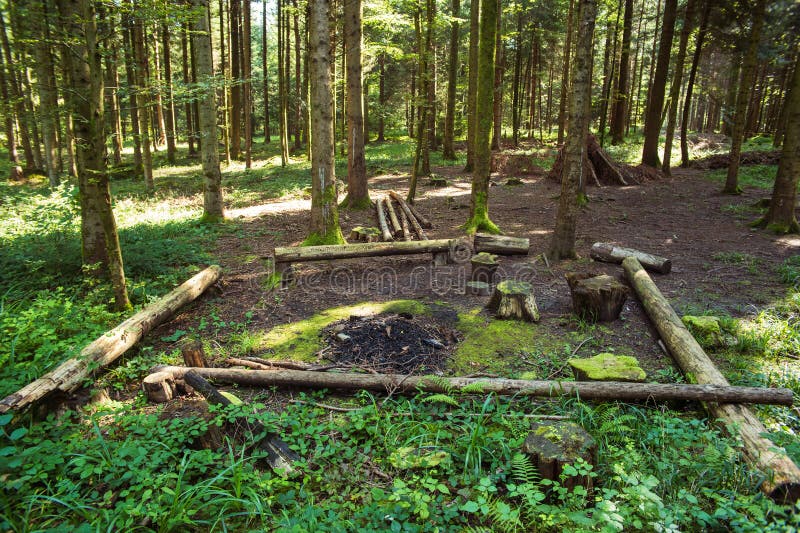 A Campfire in the Middle of the Dark Forest Stock Photo - Image of ...