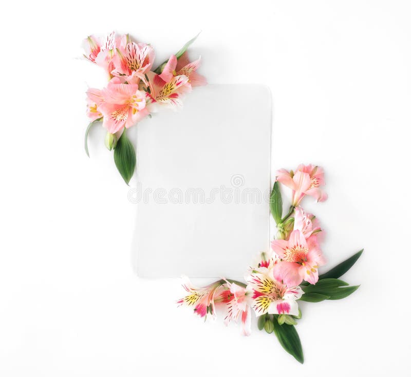 Empty Card with Flowers Alstroemeria on White Background Stock Image ...