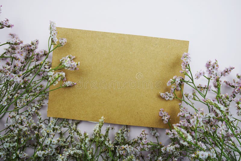 Empty Card for Text Message and Flower Decoration on Pink Background ...