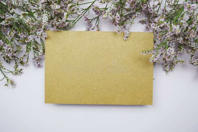 Empty Card for Text Message and Flower Decoration on Pink Background ...