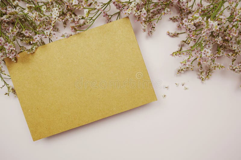 Empty Card for Text Message and Flower Decoration on Pink Background ...
