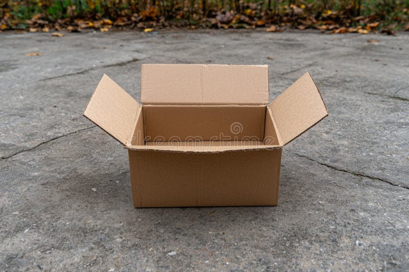Empty Cardboard Box on the Ground Stock Illustration - Illustration of ...