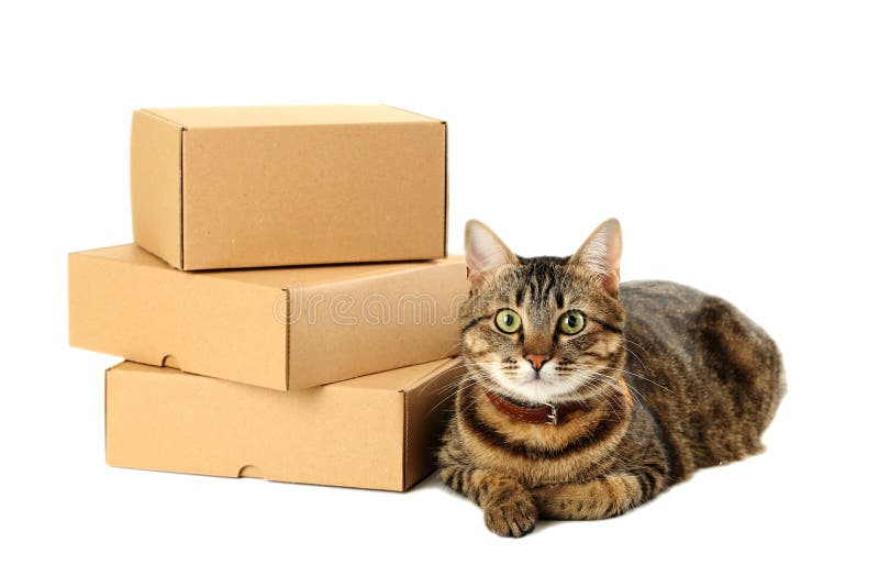 Pile Of Empty Cardboard Boxes Stock Image - Image of packaging, post ...