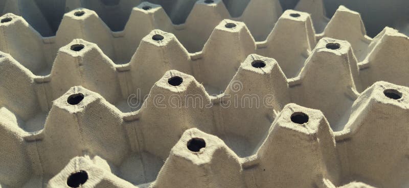 Empty Carton for Chicken Eggs. a Container for Transporting and ...