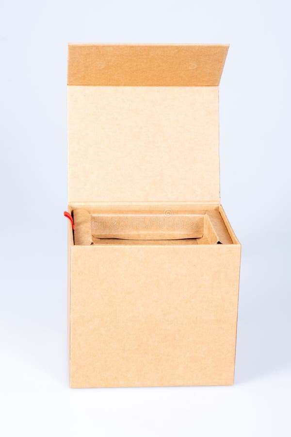 Empty Carton Open Cardboard Box with Boxes and Compartments Stock Image ...