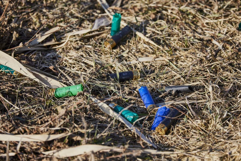 Empty Cartridges in the Grass Stock Photo - Image of cartridge, hunter ...