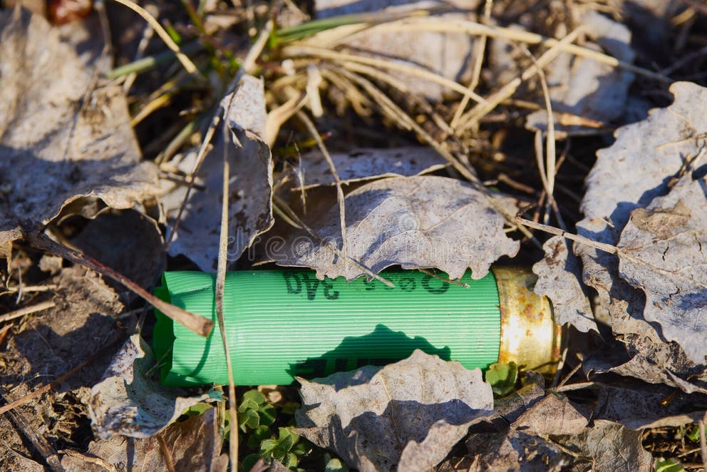 Empty Cartridges in the Grass Stock Photo - Image of cartridges, target ...