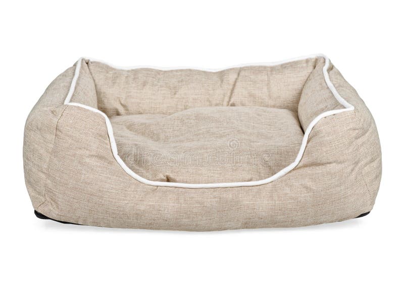 Empty cat bed stock image. Image of lovely, empty, comfortable - 337523327