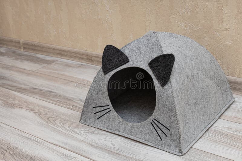 An Empty Cat House Stands on the Floor Stock Photo - Image of print ...
