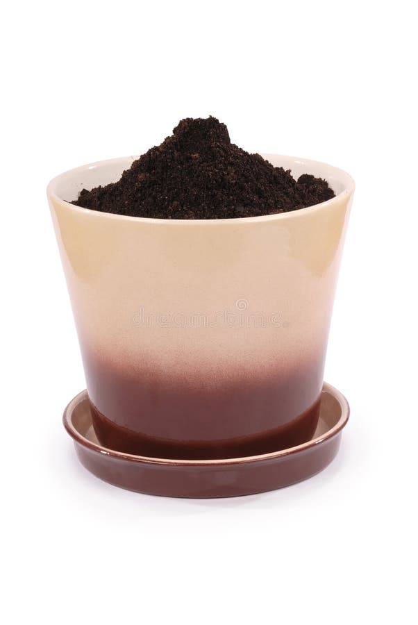 Ceramic Brown Flower Pot and Green Plant Stock Photo - Image of ...