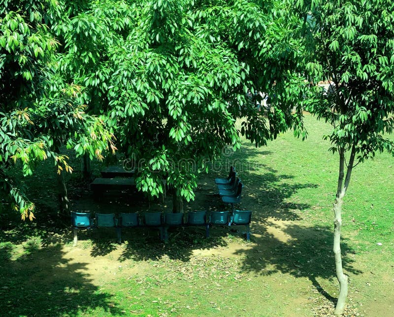 10,291 Shadow Under Tree Stock Photos - Free & Royalty-Free Stock ...