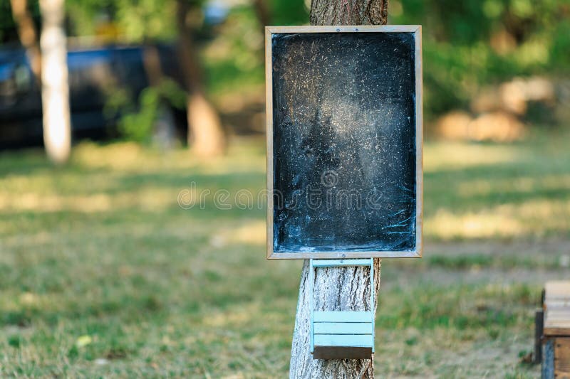 Empty Chalkboard in Outdoor Nature Setting with Blurred Green ...
