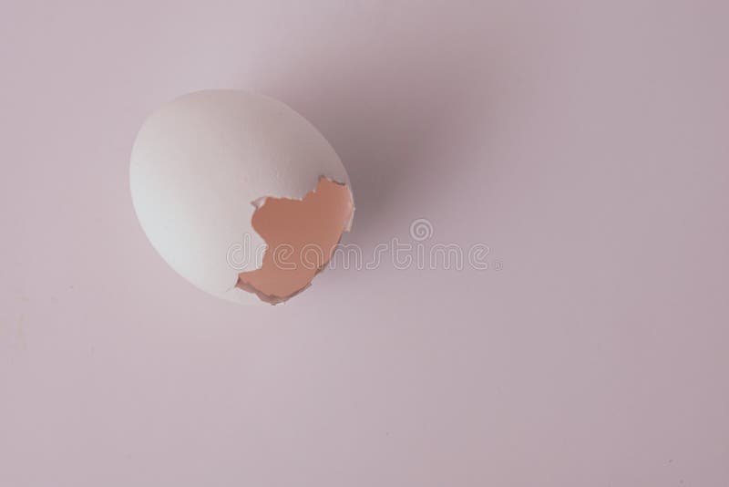Empty Chicken Egg on White Background Stock Photo - Image of white ...