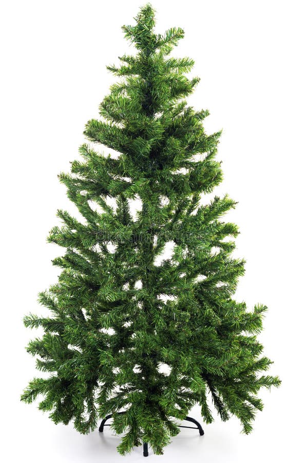 Empty Christmas tree stock photo. Image of happy, xmas - 247080724