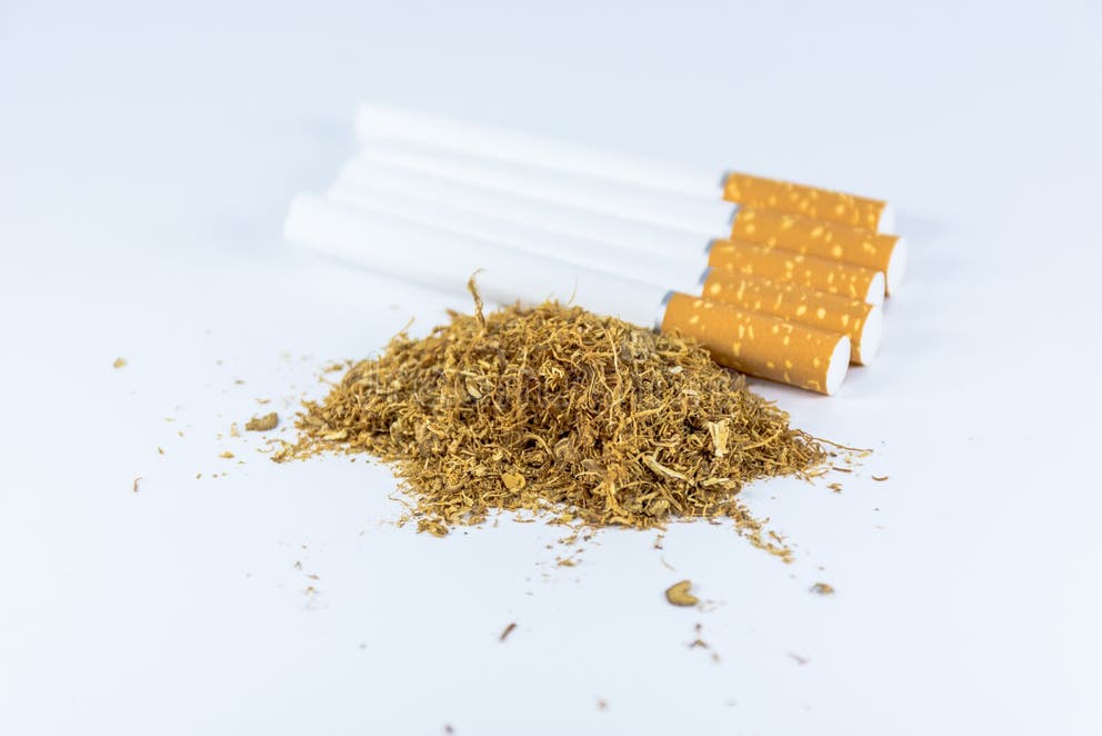 Empty cigarette tubes stock photo. Image of brown, product - 100611724